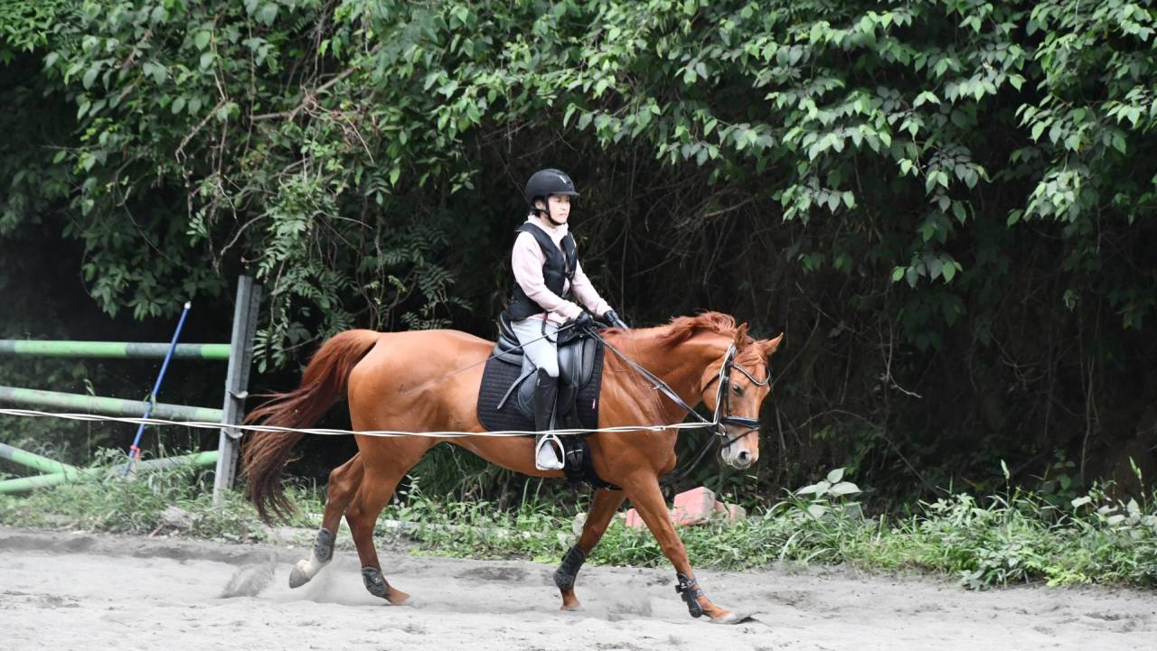 乗馬のプロセスを基礎から安全に学ぶための実践的ガイド コラム Oiso乗馬クラブ神奈川の乗馬クラブ 6799